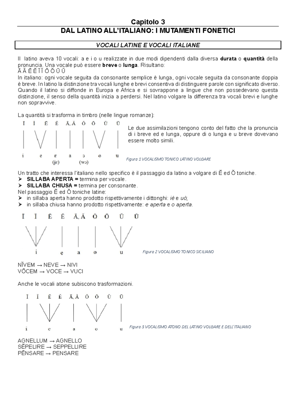 Schemi nuovi lineamenti di grammatica storica dell'italiano - Capitolo ...