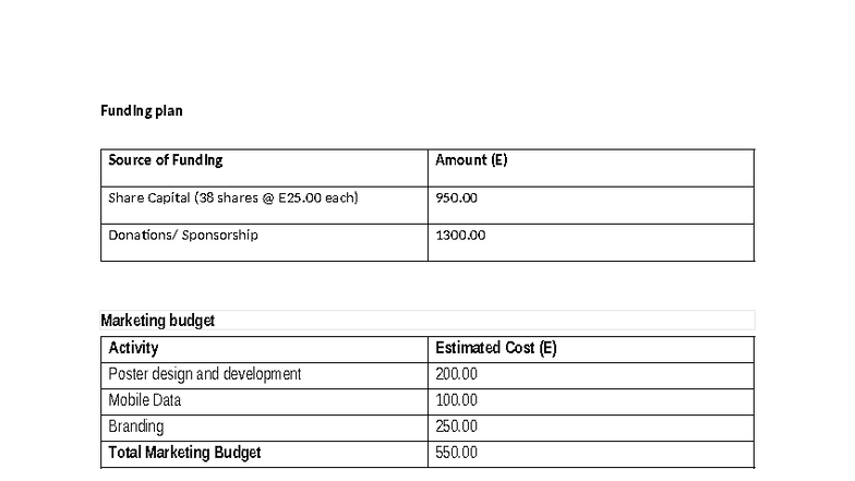 Updated Financial Statement for Funding Plan and Cash Flow Analysis ...