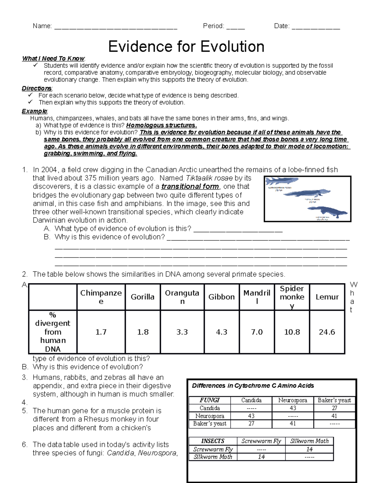 Evidence for Evolution Activity Worksheet - Name ...