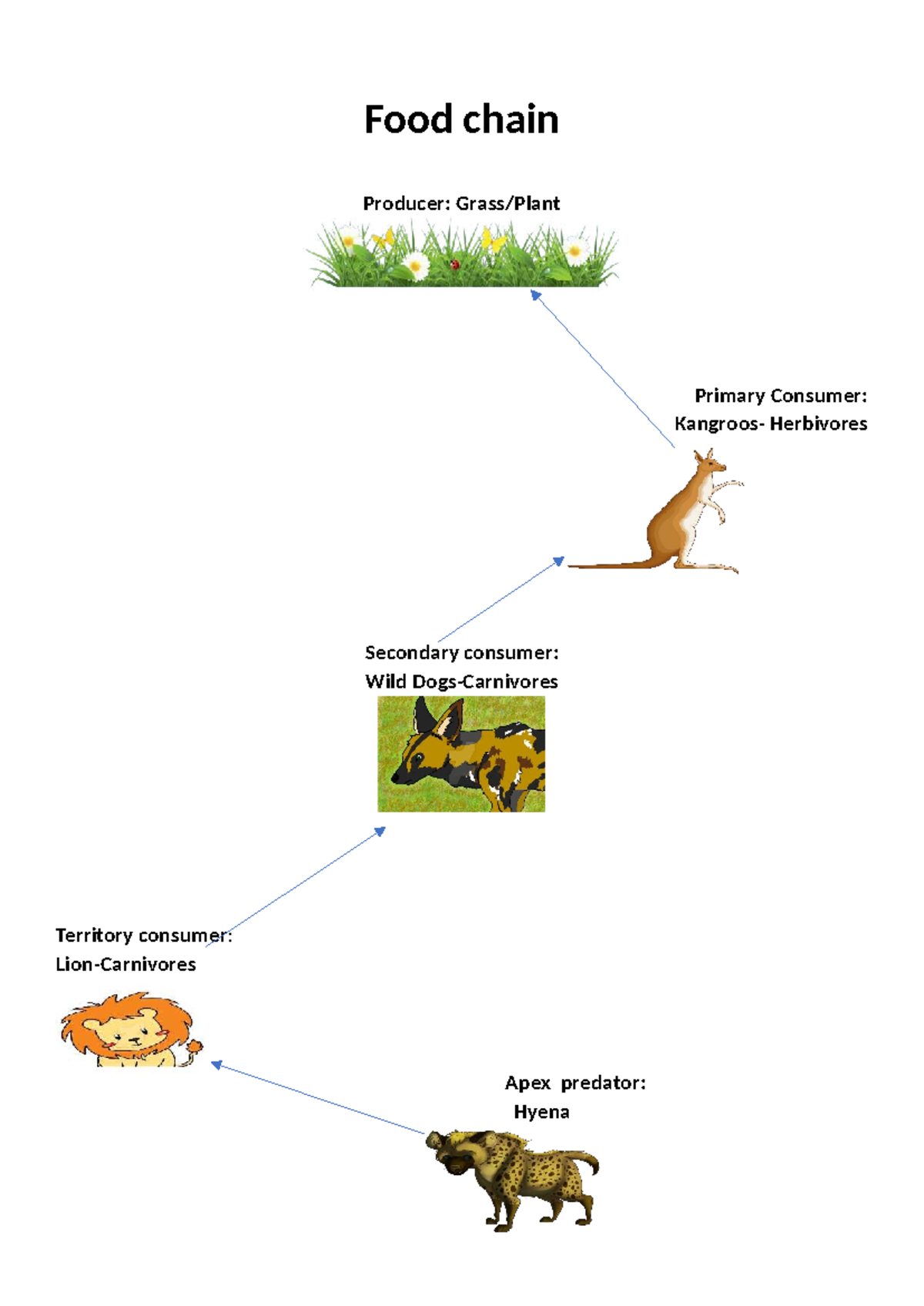 FOOD Chain-2 - notes - Food chain Producer: Grass/Plant Primary ...