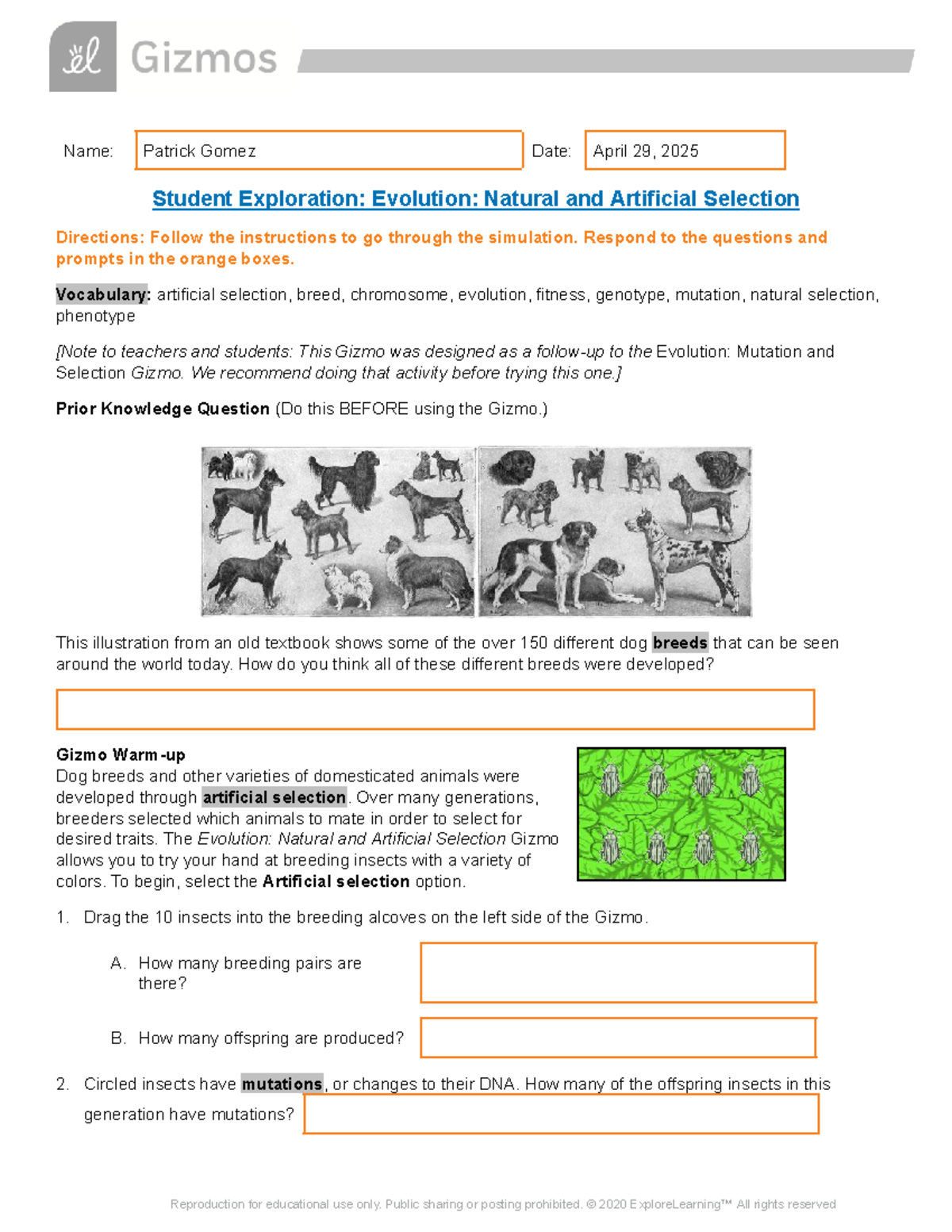 Gizmo Exploration: Evolving Insects - Natural & Artificial Selection ...
