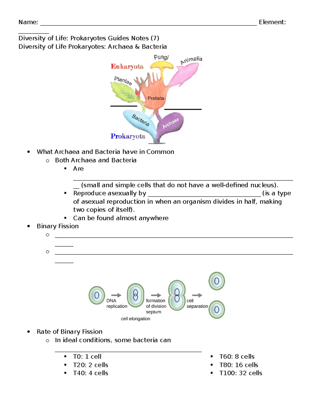 Diversity of Life: Prokaryotes (7) Guided Notes on Archaea & Bacteria ...