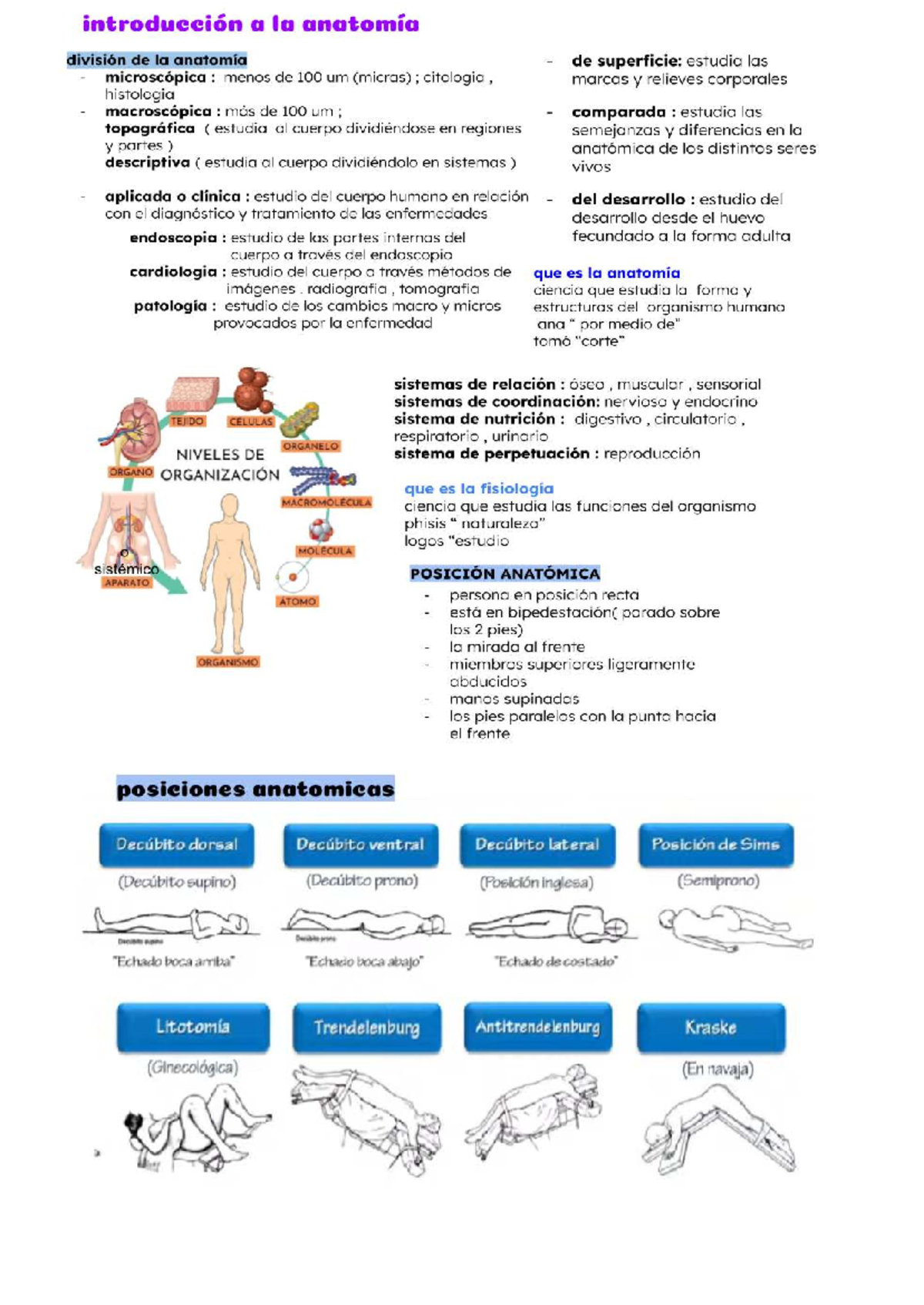 Introducción a la Anatomía: Parte 1 - Anatomía de Superficie y ...