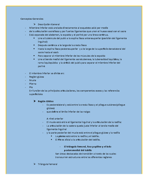 Abdomen Cap 5 (funículo espermatico, escroto y testículos) - Contiene ...