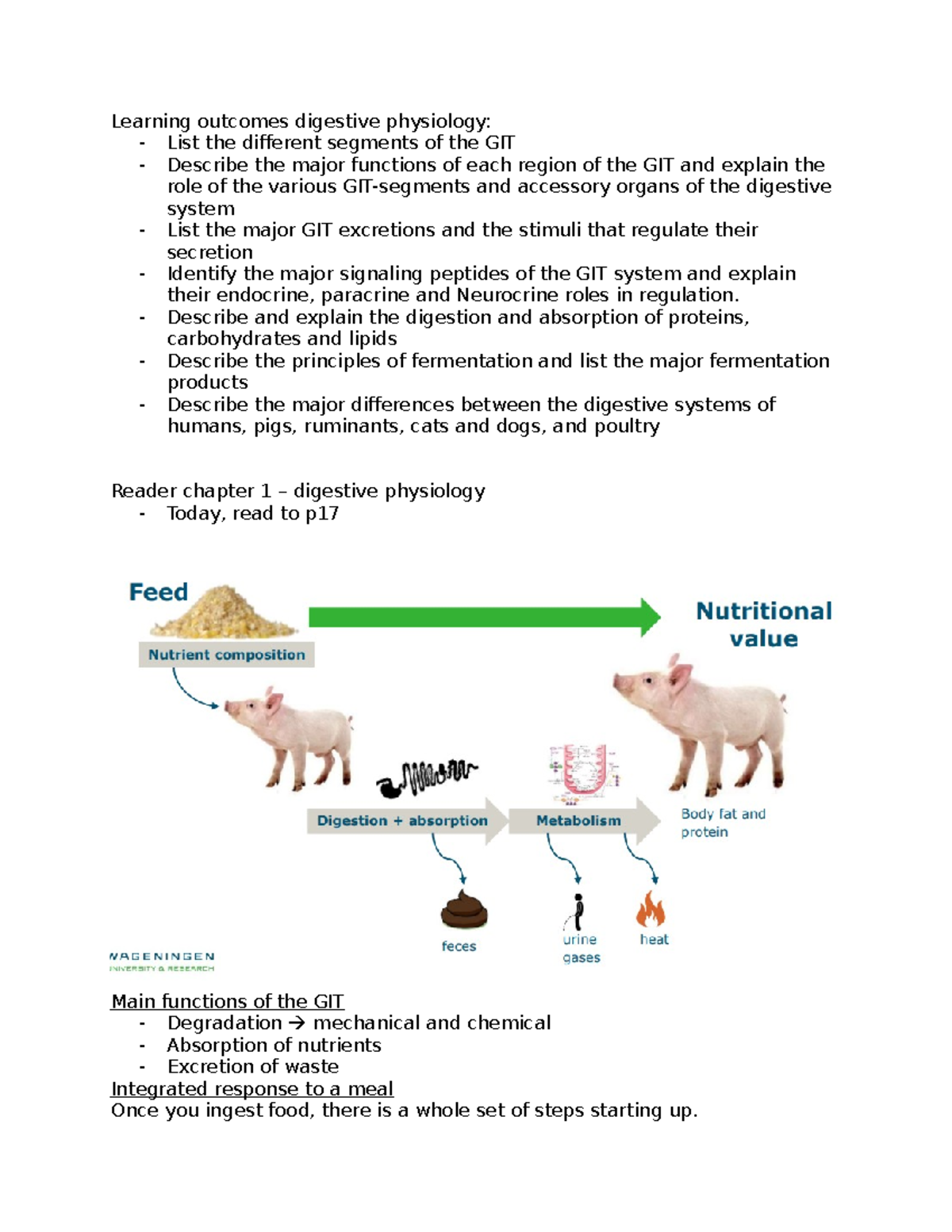 ANU BIO 101 - Lecture 1 Notes on Digestive Physiology Overview ...