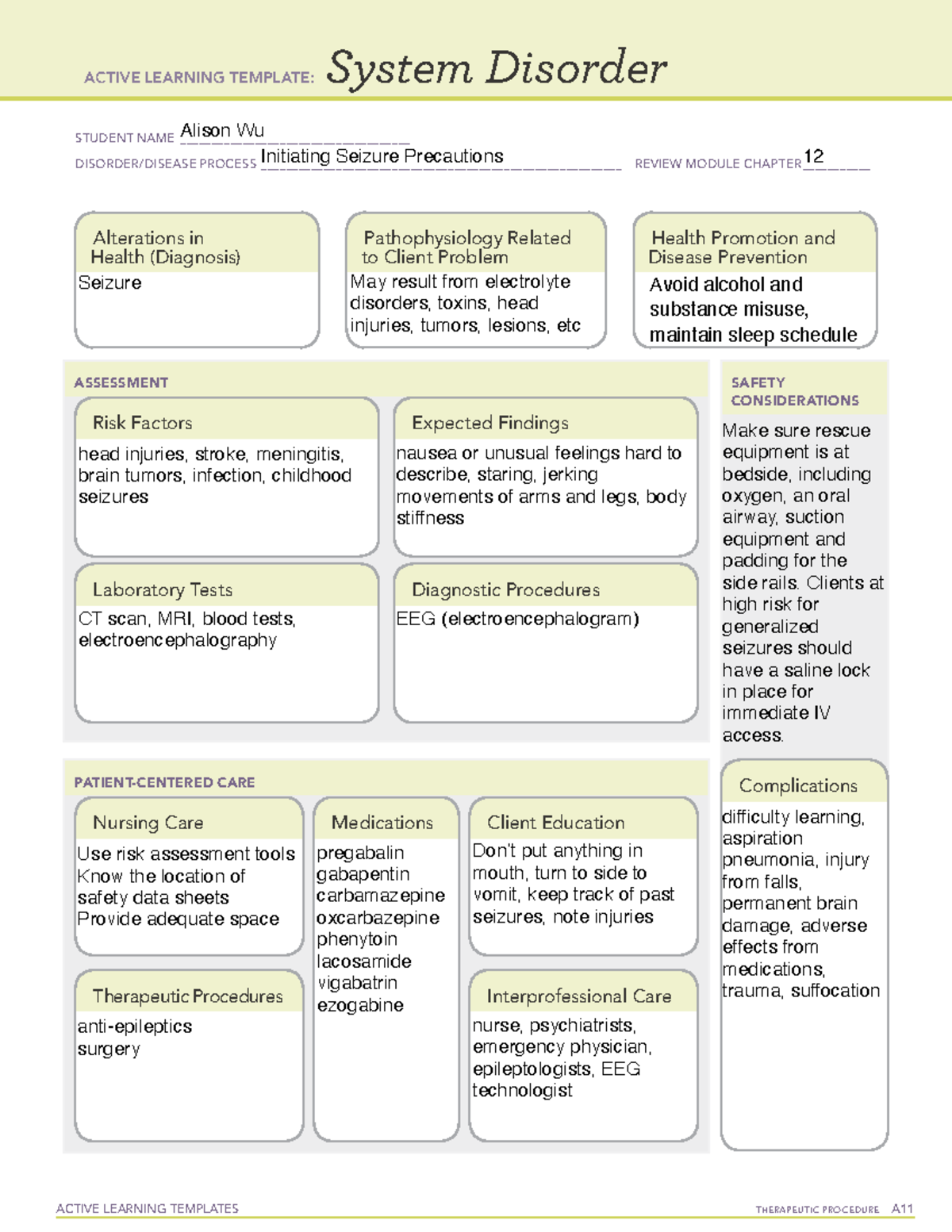 Seizure Precautions: Active Learning Template for Therapeutic Procedure ...