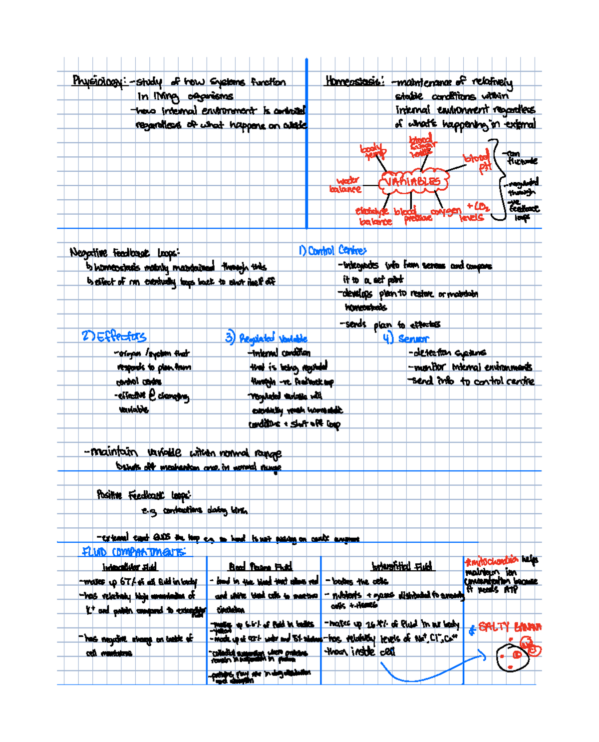 Physiology 610: Week 1 Homeostasis and Internal Environment Notes - Studocu
