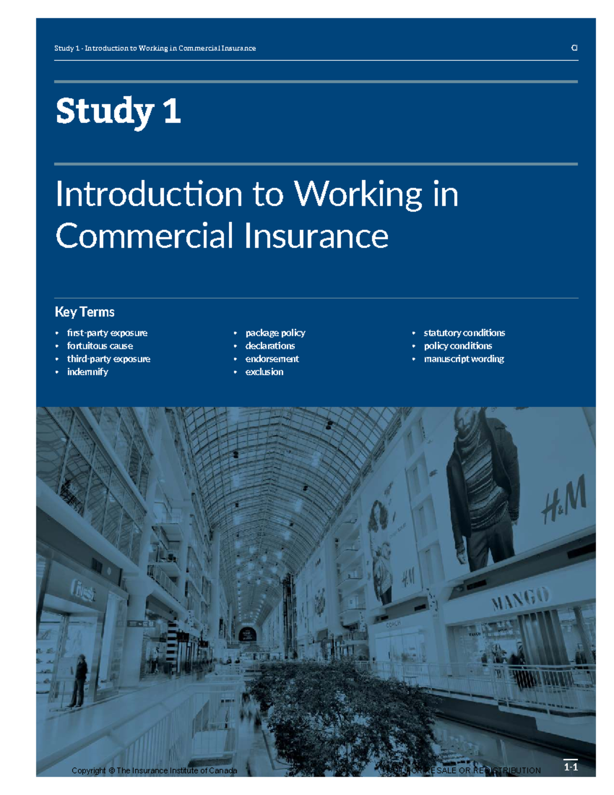 CI Study 1: Key Concepts in Commercial Insurance Relationships - Studocu