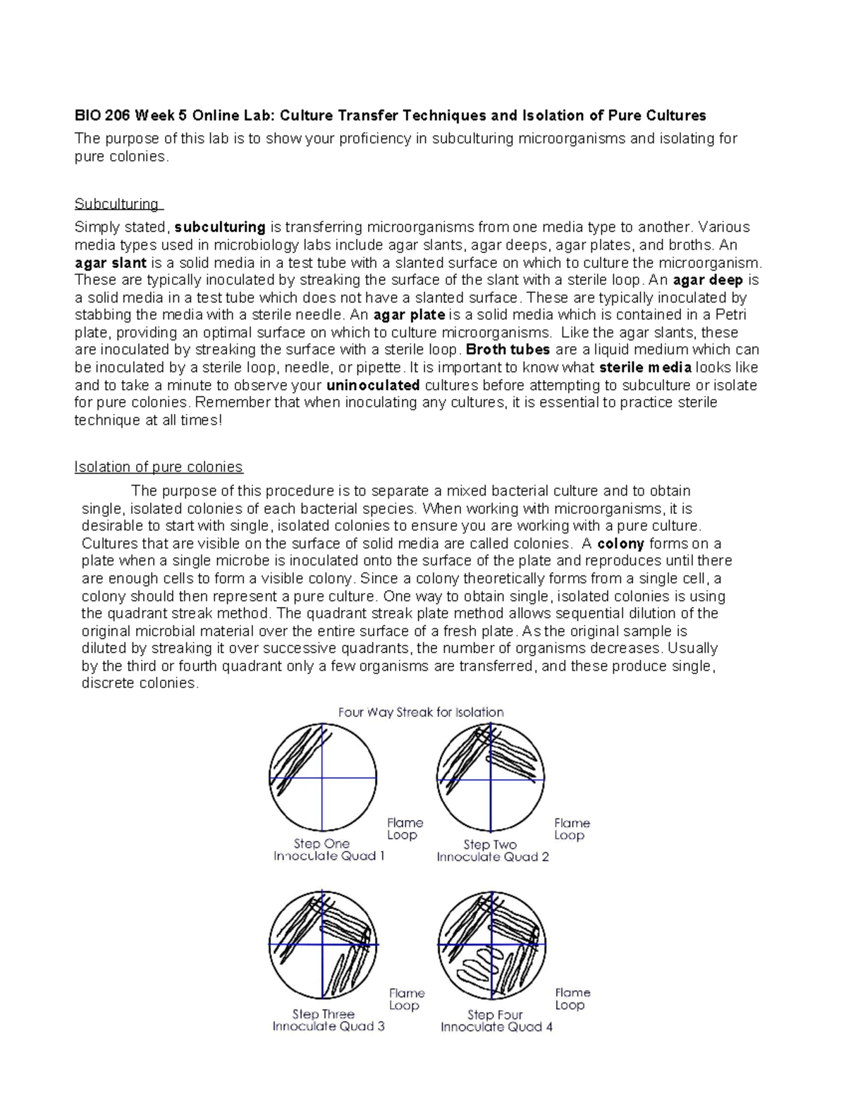 BIO 206 Week 5 Lab: Culture Transfer & Isolation Techniques - Studocu