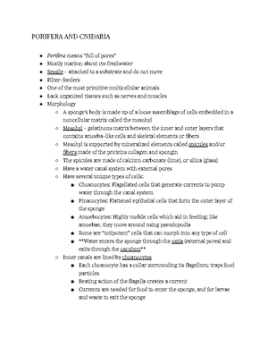 BIOL 1123 Final Exam Review: Porifera and Their Body Forms - Ch. 9 ...