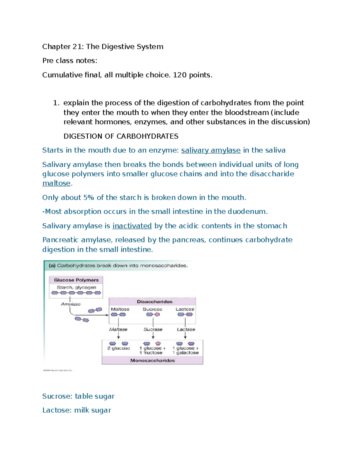 Chapter 21: Digestive System Overview - Carbohydrate & Protein ...
