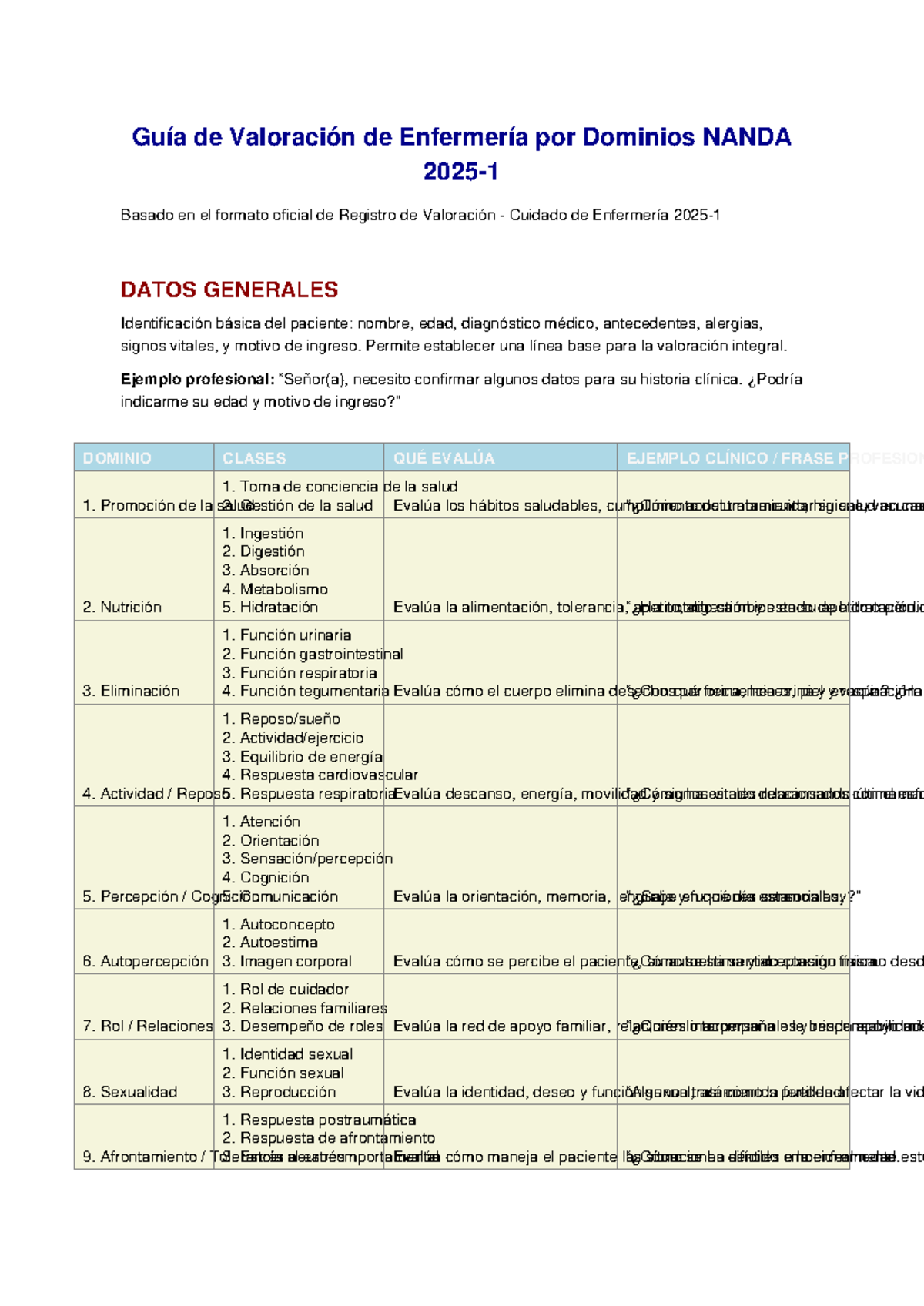 Guía de Valoración de Enfermería NANDA 2025-1: Dominios y Evaluación ...