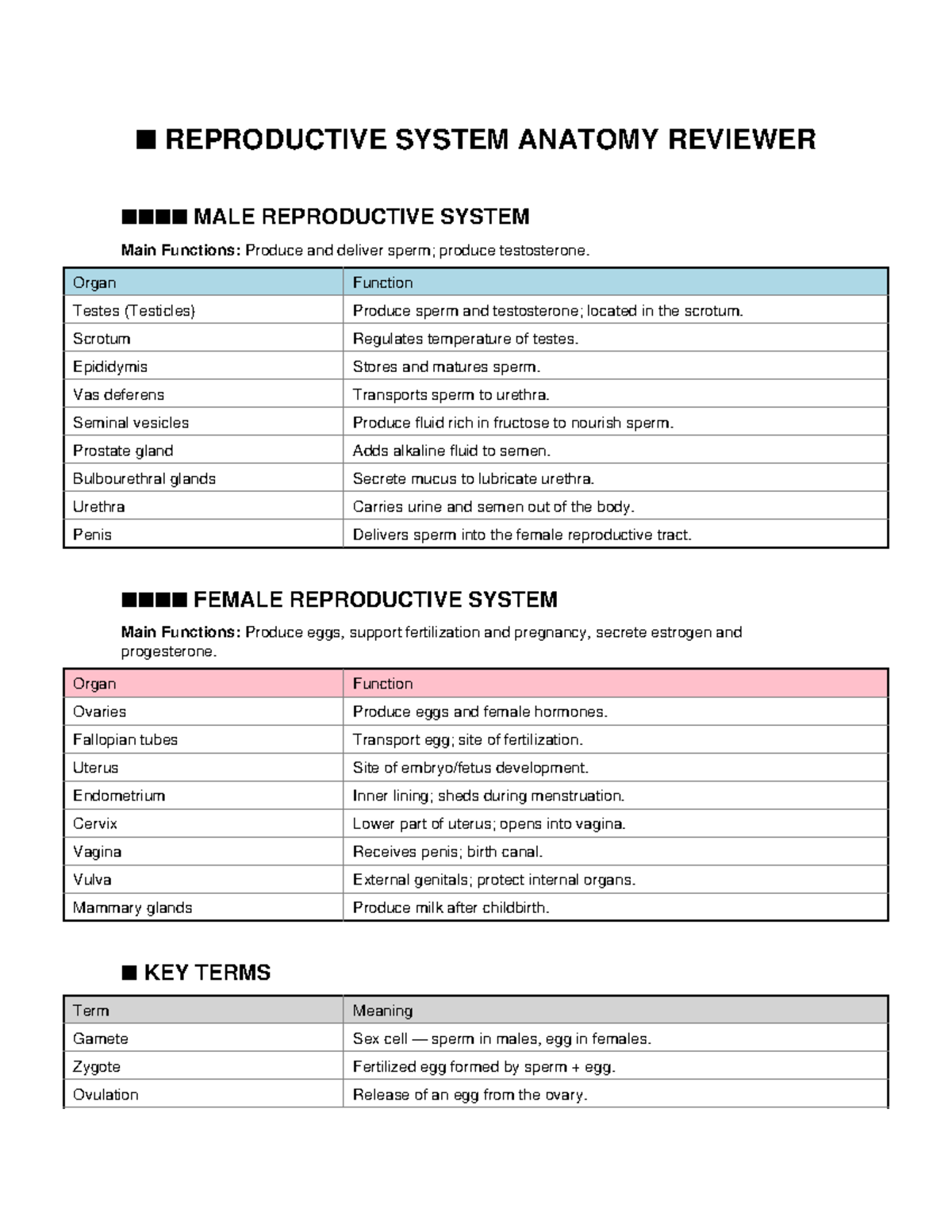 Reproductive System Anatomy Reviewer: Male & Female Overview - Studocu