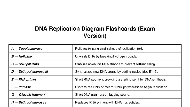 DNA Replication Flashcards (Exam Version) - Key Concepts & Functions ...
