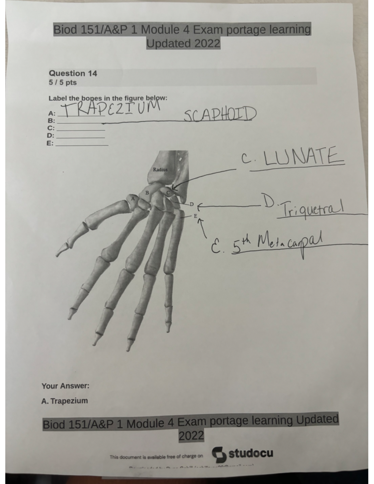 Bio 151 Hand Labeled - Biod 1 Module 4 Exam portage learning Updated ...