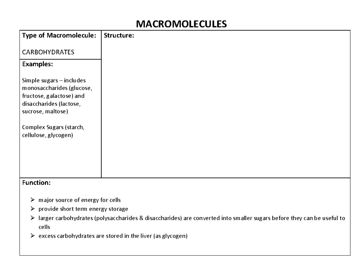 07 Macromolecules Graphic Organizer: Carbs & Proteins Overview - Studocu