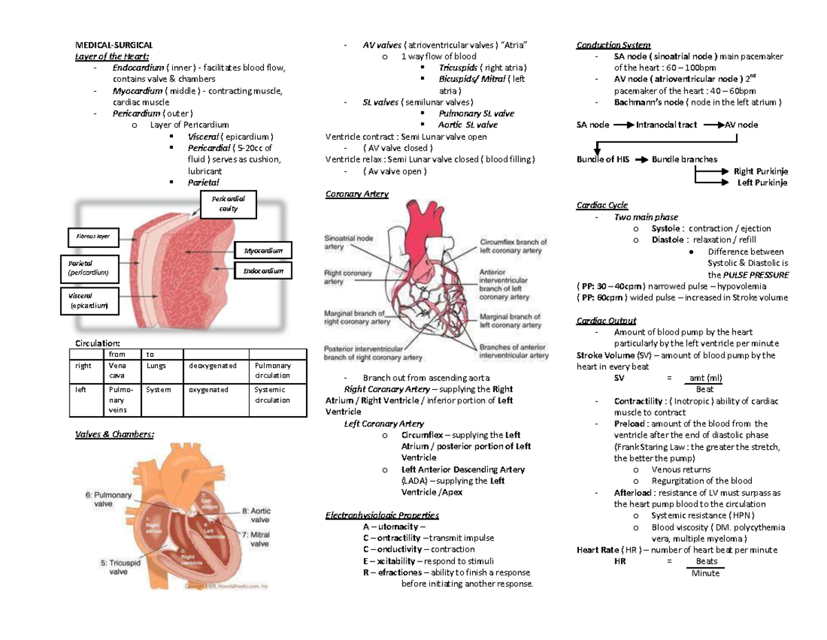 Med Surg 101: Comprehensive Overview of Cardiac and Respiratory Systems ...