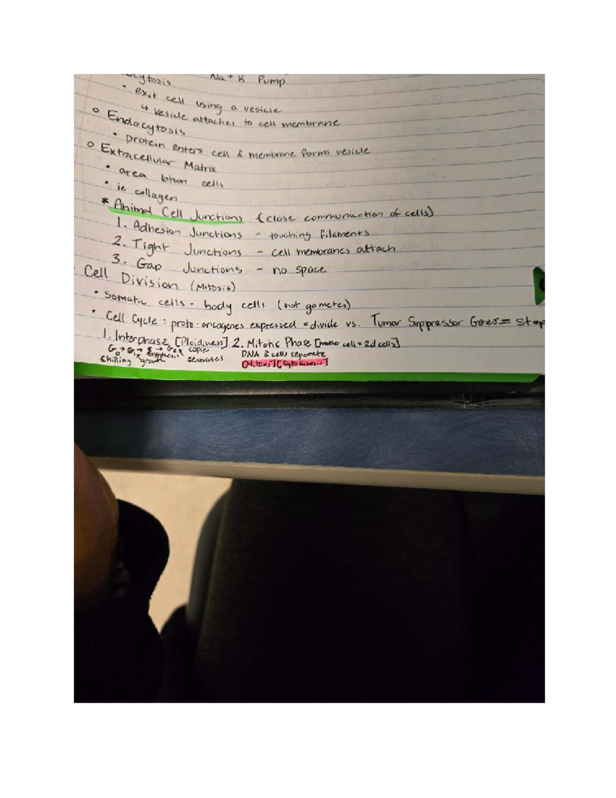 Final Exam Study Guide: Genetics & Cell Biology (Course Code: [Course ...