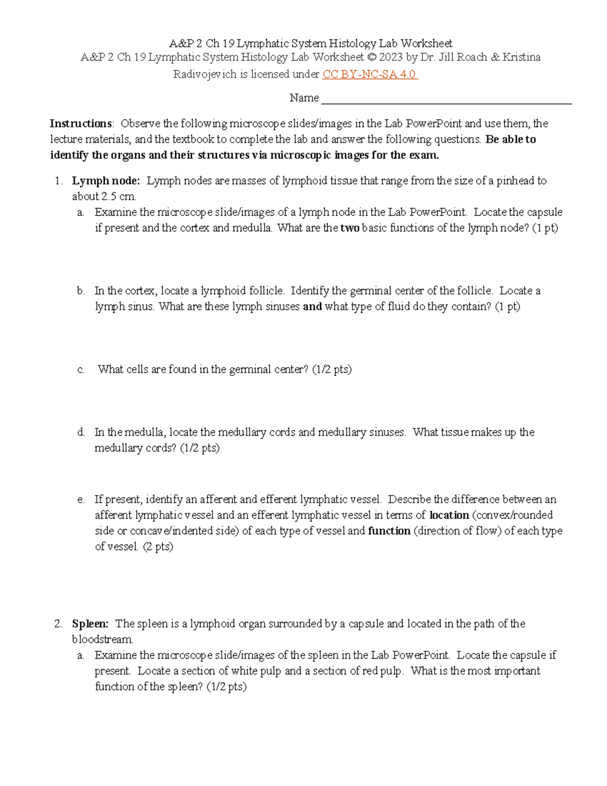 A&P2 Ch 19 Lymphatic System Histology Lab Worksheet & Study Guide - Studocu