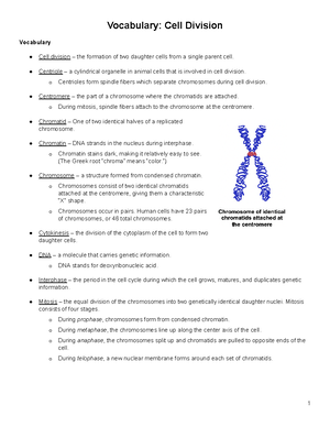 Project elasticity - Creating Graphs to Reach Equilibrium Student Guide Summary In this ...
