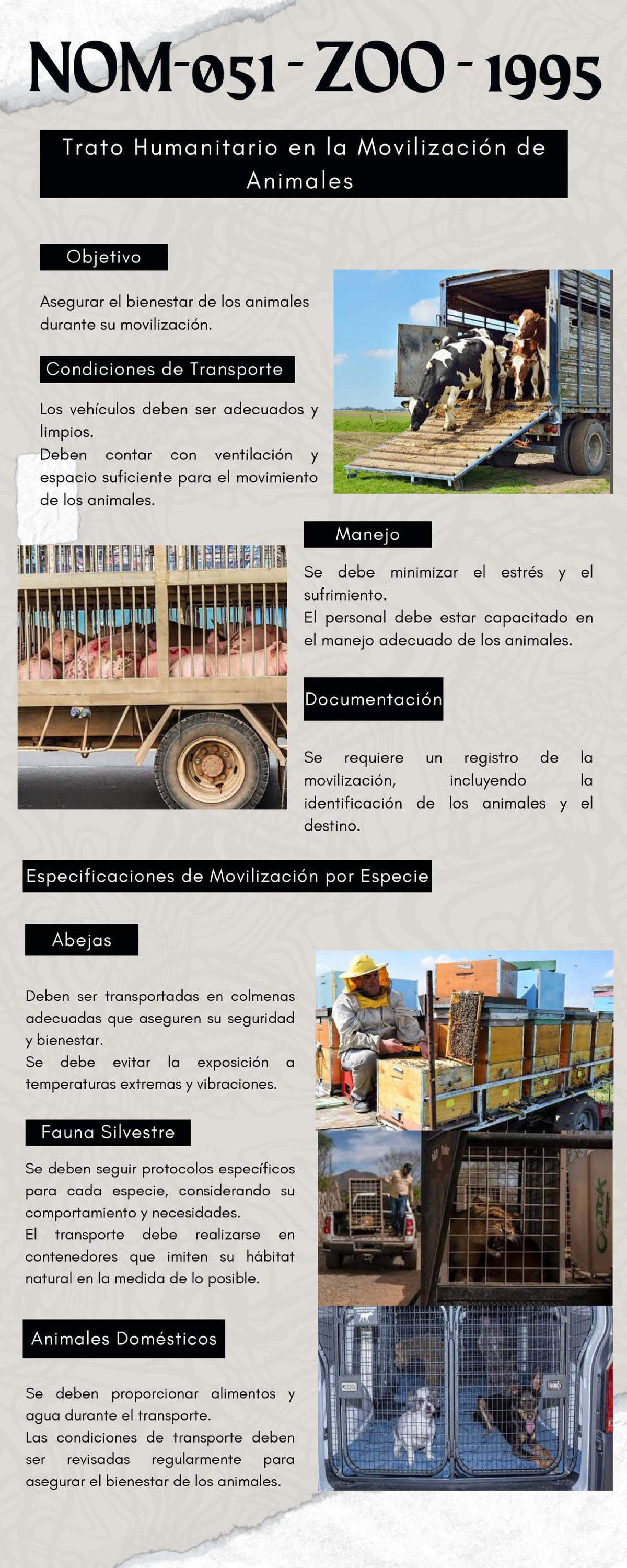Trato Humanitario en la Movilización de Animales: Bienestar y Normas ...