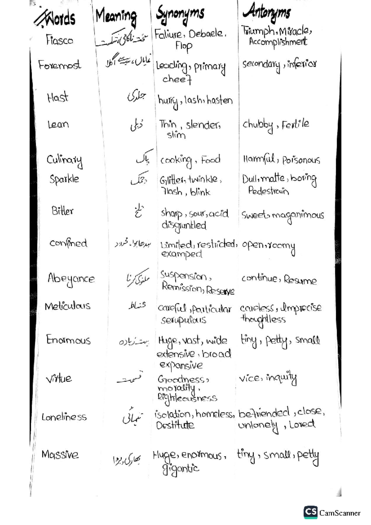Vocab Study Guide: Words, Meanings, Synonyms & Antonyms (CS) - Studocu