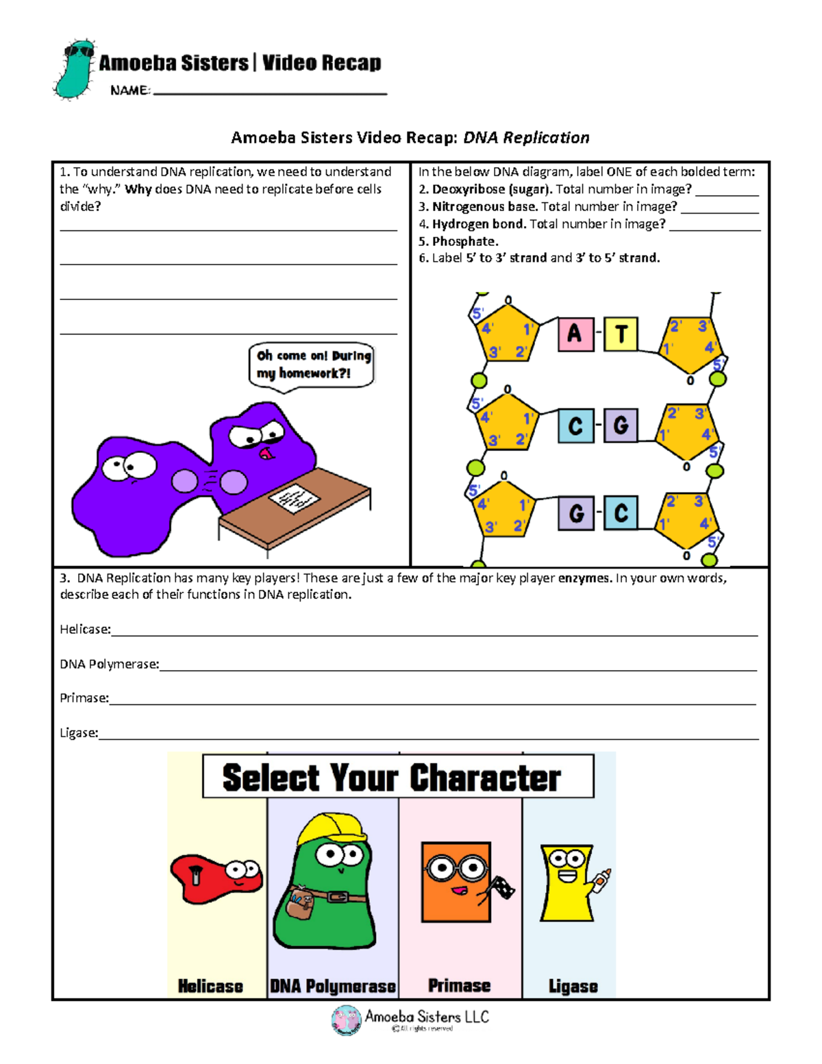 Video recap of dna replication by amoeba sisters - Amoeba Sisters Video ...