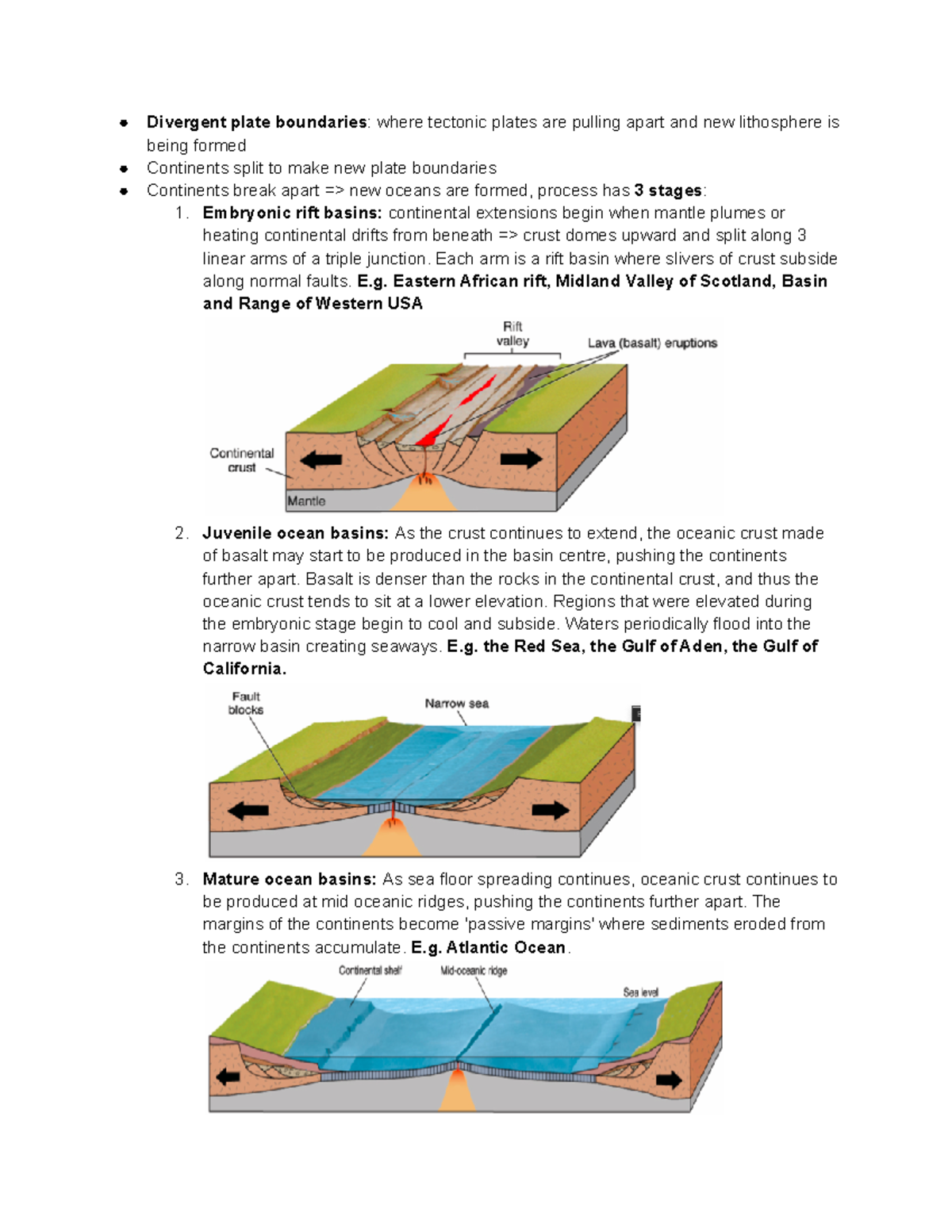 EESA06 Module 3: Divergent Plate Boundaries Study Notes & Questions ...