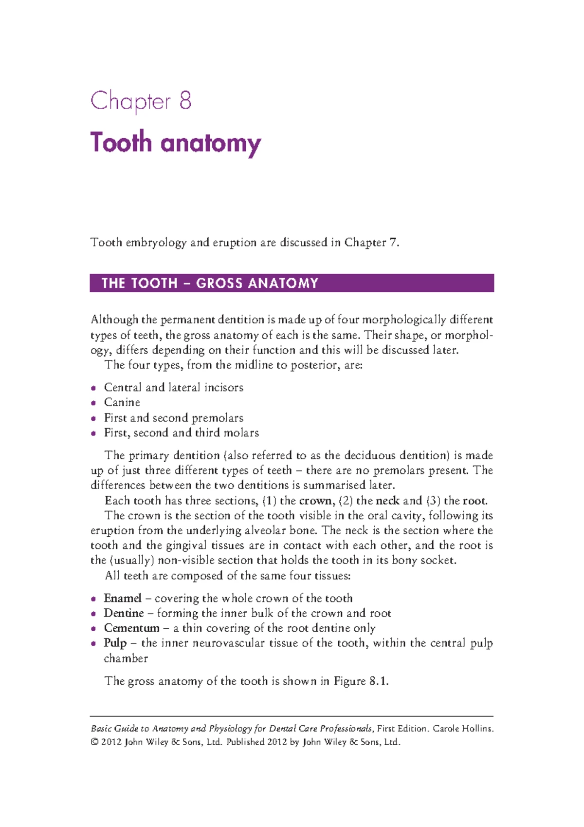 Oral Anatomy Tooth Morphology - TOOTH MORPHOLOGY DIVISION (THIRDS) OF ...