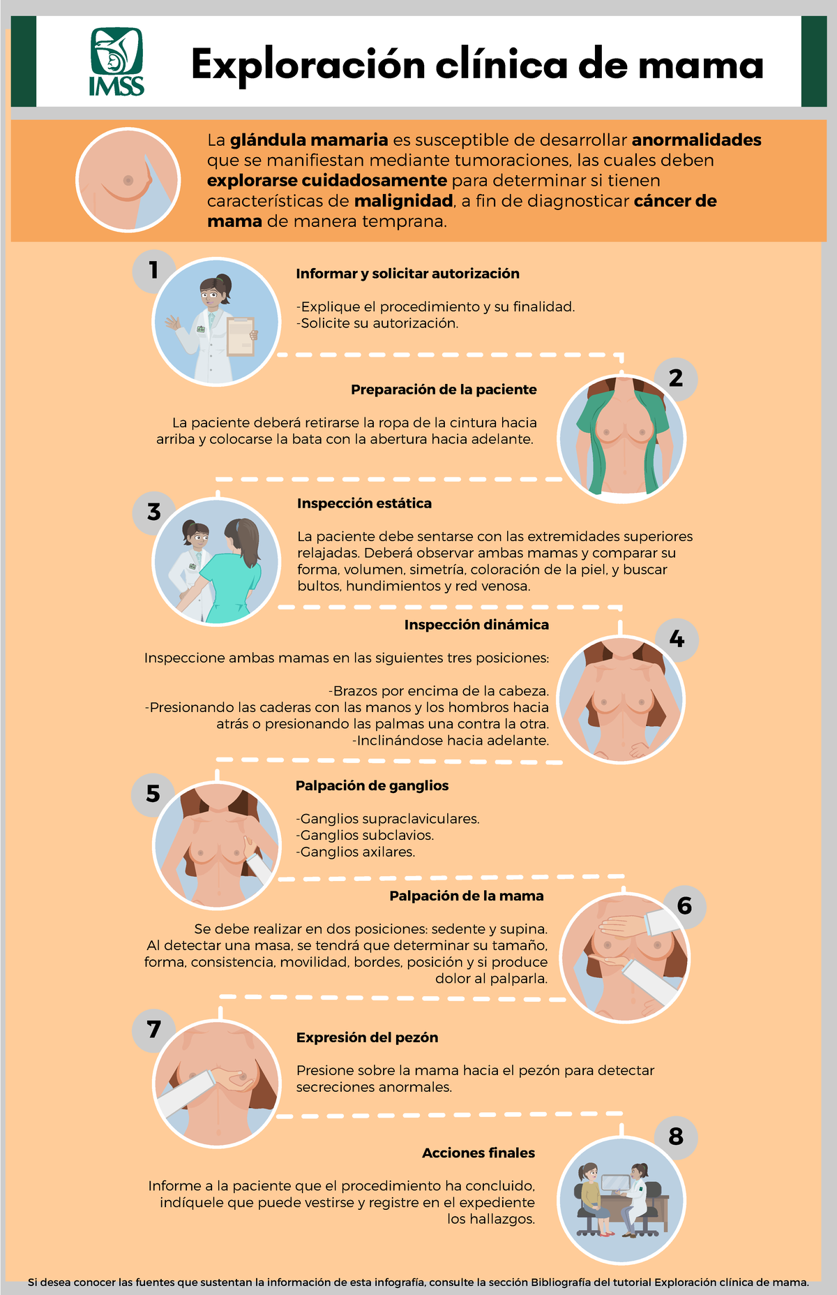 Infografía: Exploración Clínica de Mama y Detección de Anomalías - Studocu