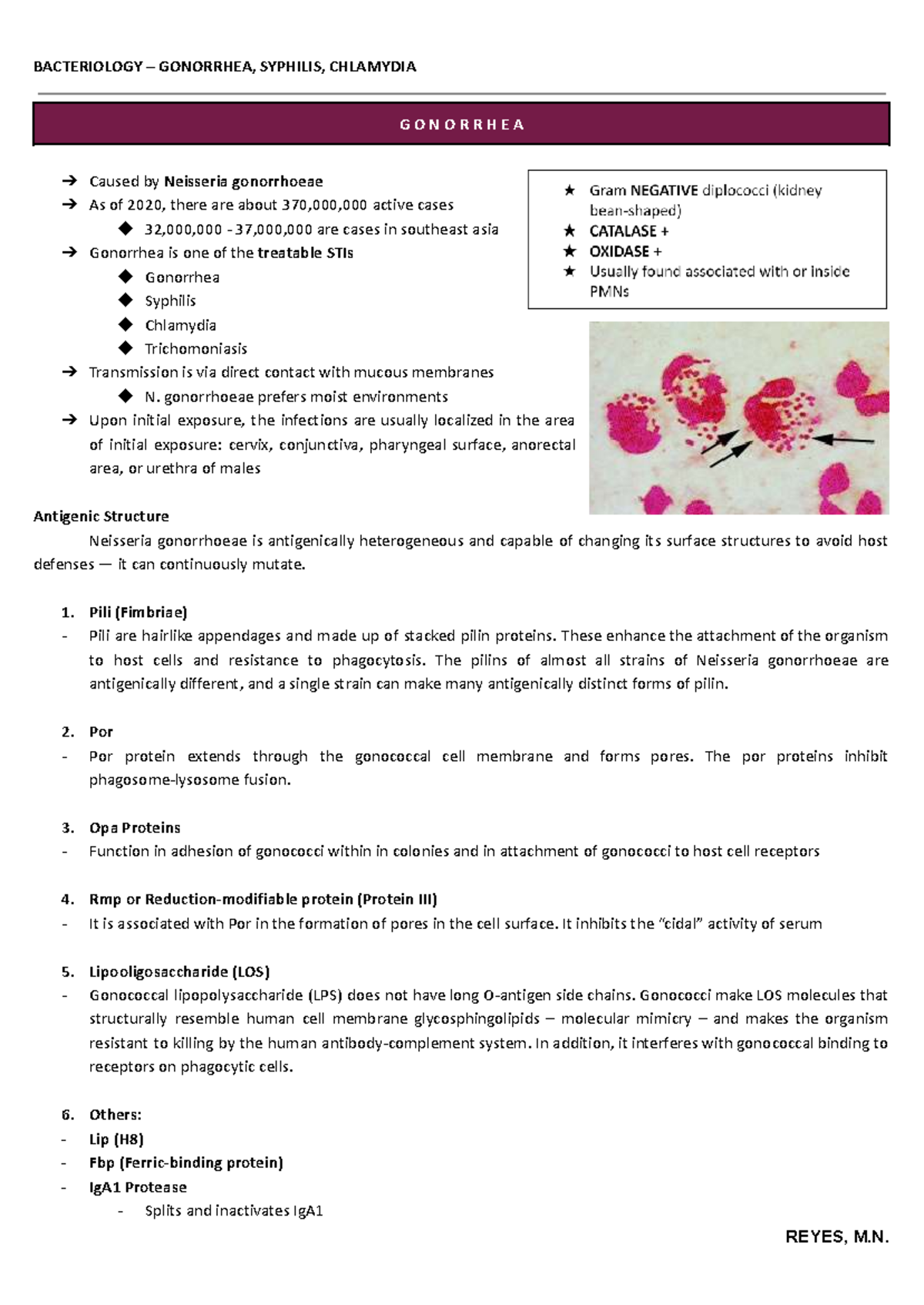 BACTERIOLOGY: GONORRHEA, SYPHILIS, CHLAMYDIA - A Comprehensive Study ...