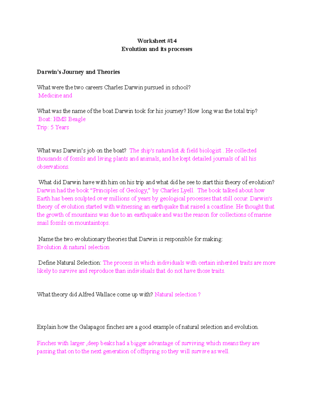 Worksheet #14 - weekly assignment - Worksheet # Evolution and its ...