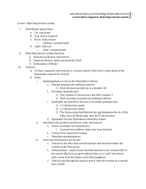 A&P FInal Lab Practical - AAS 428.01 - The Muscular System: Muscle ...