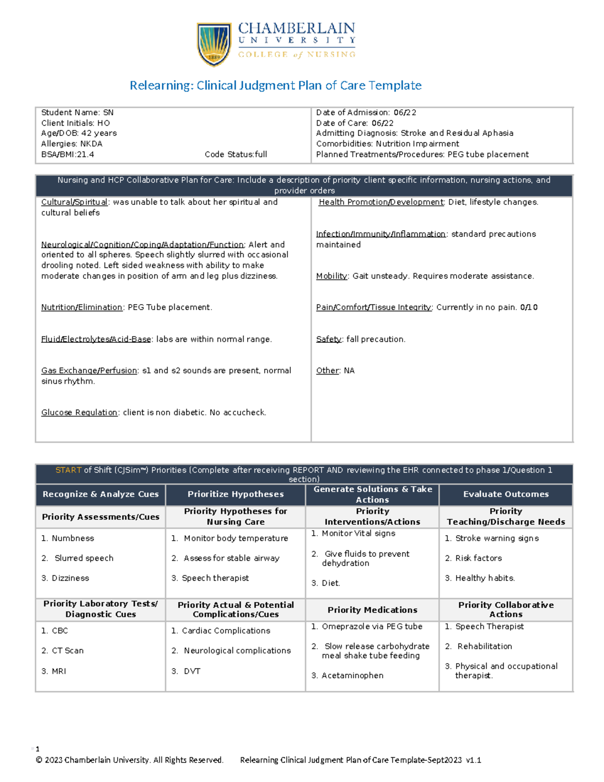 CJSim™ Care Plan for Stroke Patient with PEG Tube Management - Studocu
