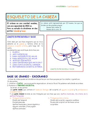 Faringe y espacios maxilofaringeos - Tubérculo faríngeo. Cartílago ...