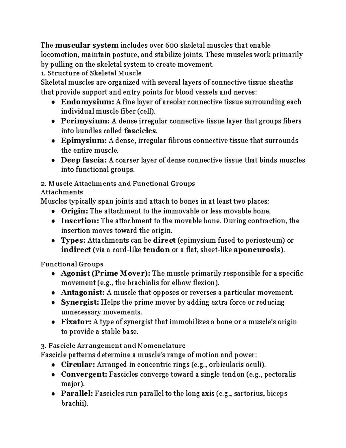 ANP 1106 Lecture Notes: The Muscular System Overview - Studocu