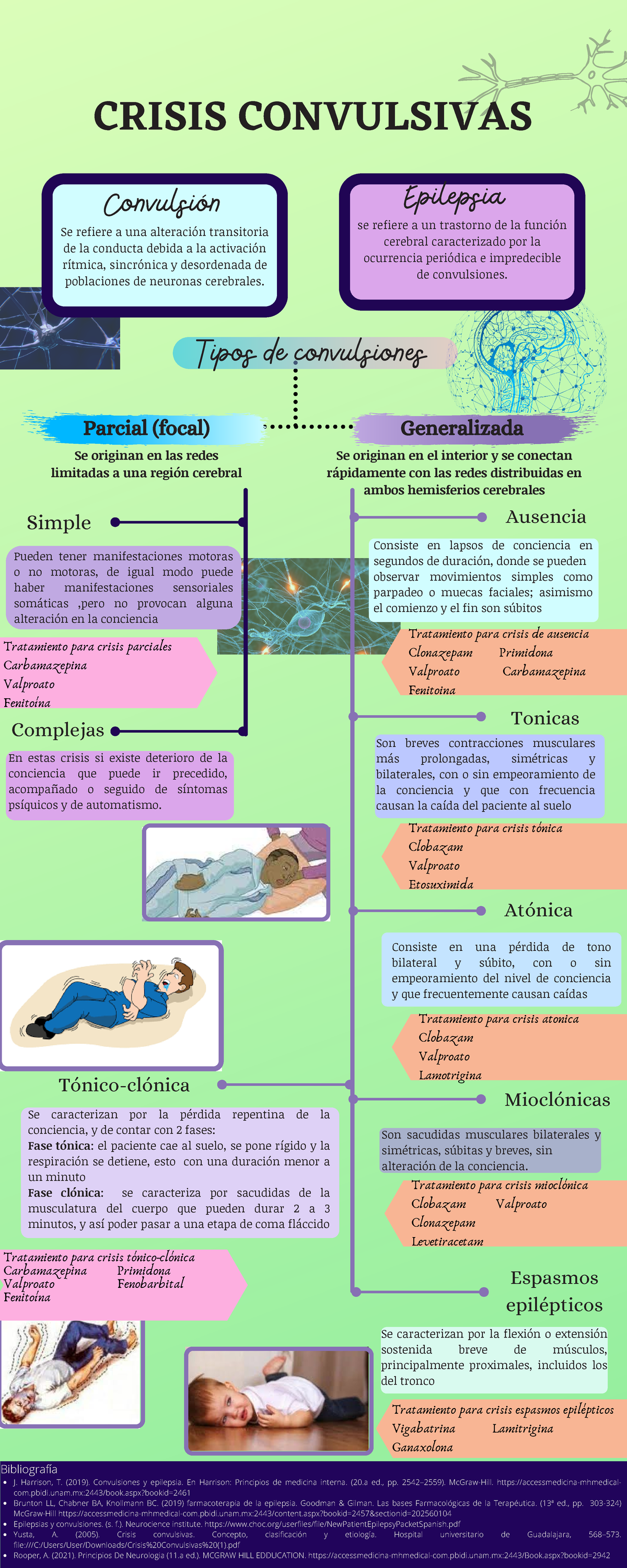 Fases De La Convulsión