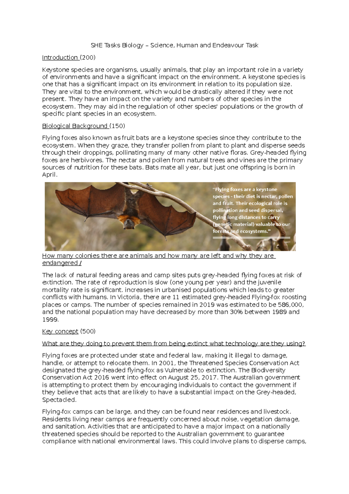 SHE Tasks Biology Final: The Role of Flying Foxes as Keystone Species ...