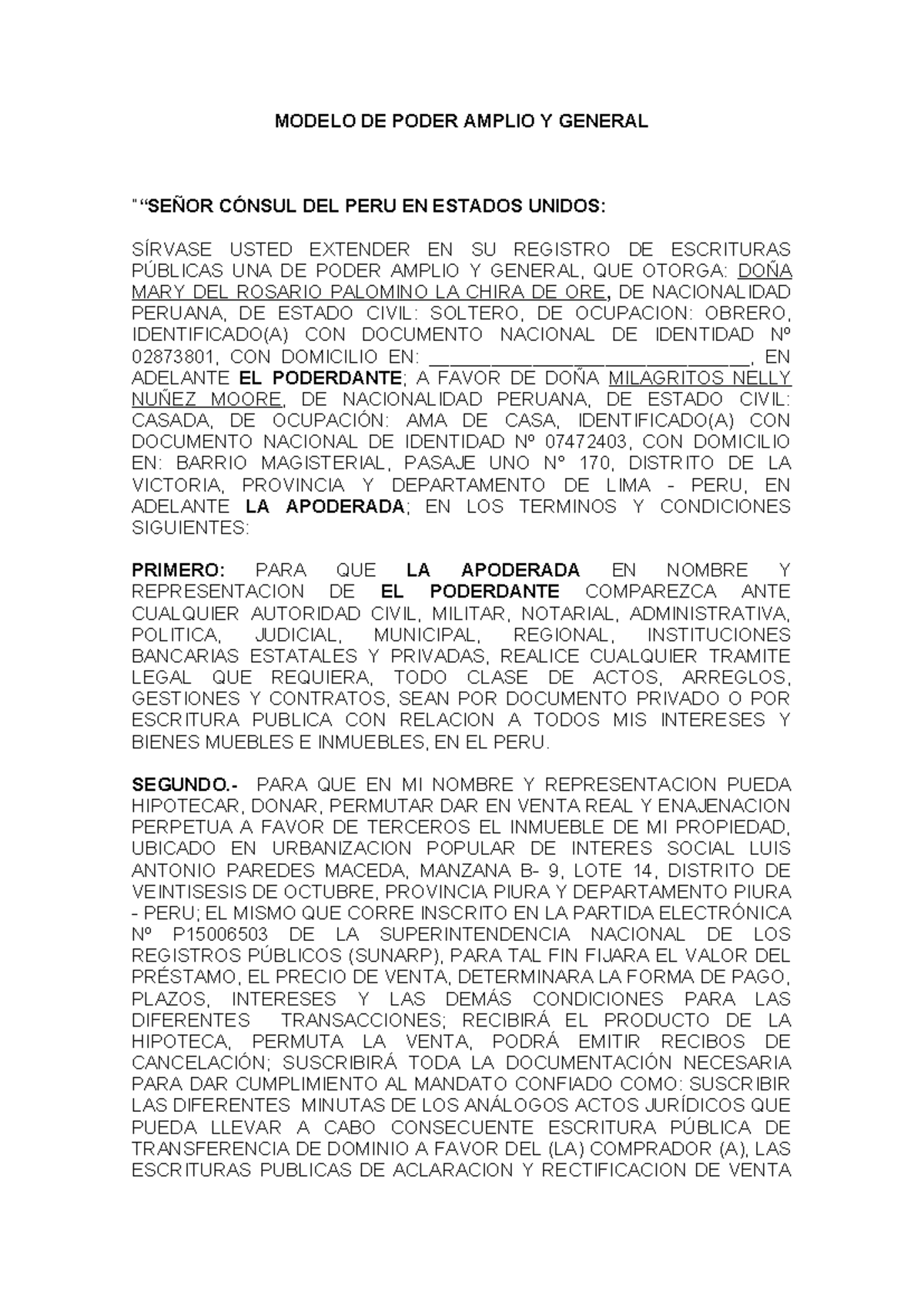 Modelo de Poder Amplio y General para Doña Mary del Rosario Palomino ...