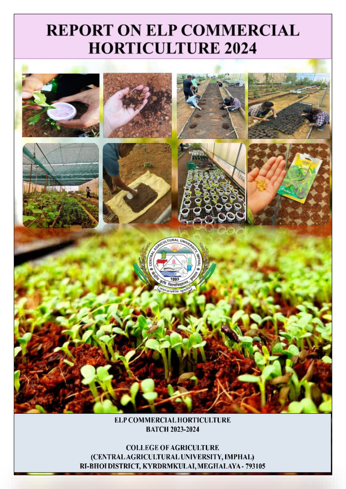 Horti 101 ELP Report on Commercial Horticulture Practices - Studocu