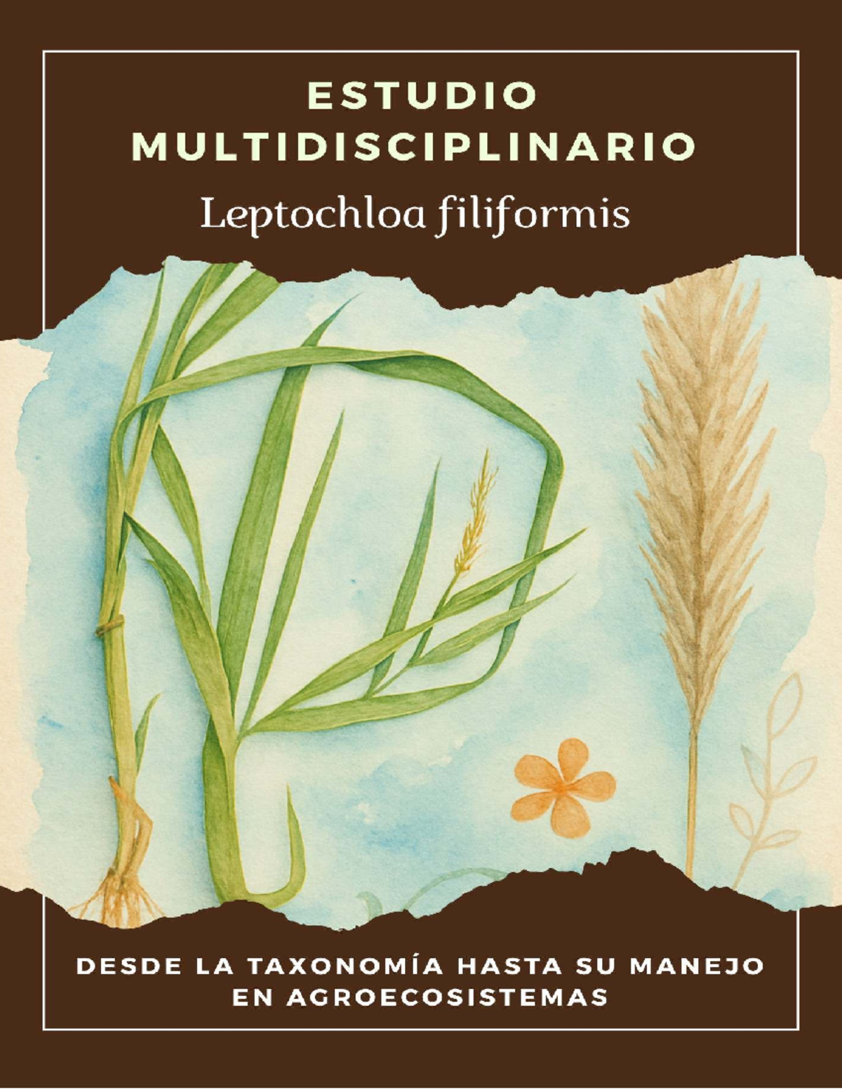 Estudio Integral de Leptochloa filiformis - Fitoprotección 04 - Studocu