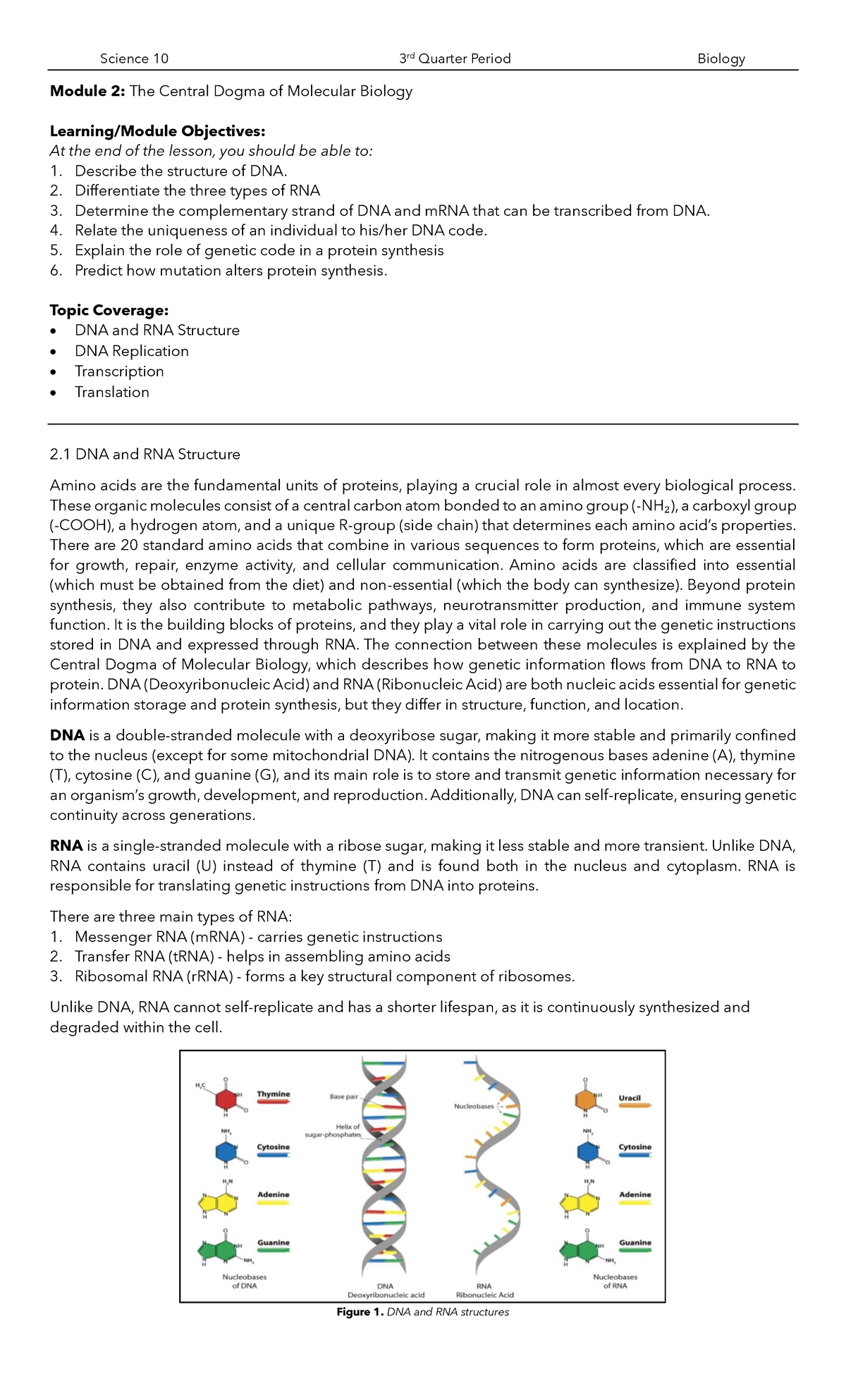 Module 2 Central Dogma of Molecular Biology - Science 10 3 rd Quarter Period Biology Module 2 ...