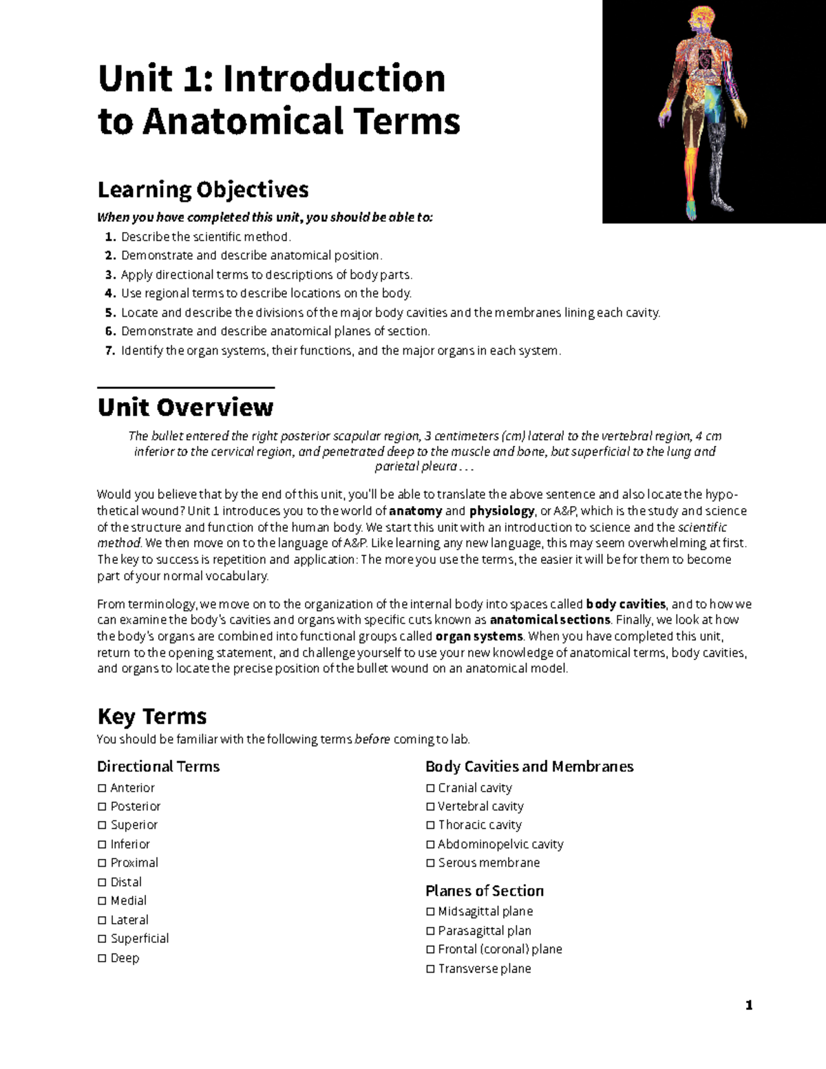 Unit 1: Intro to Anatomical Terms and Directional Language - Studocu