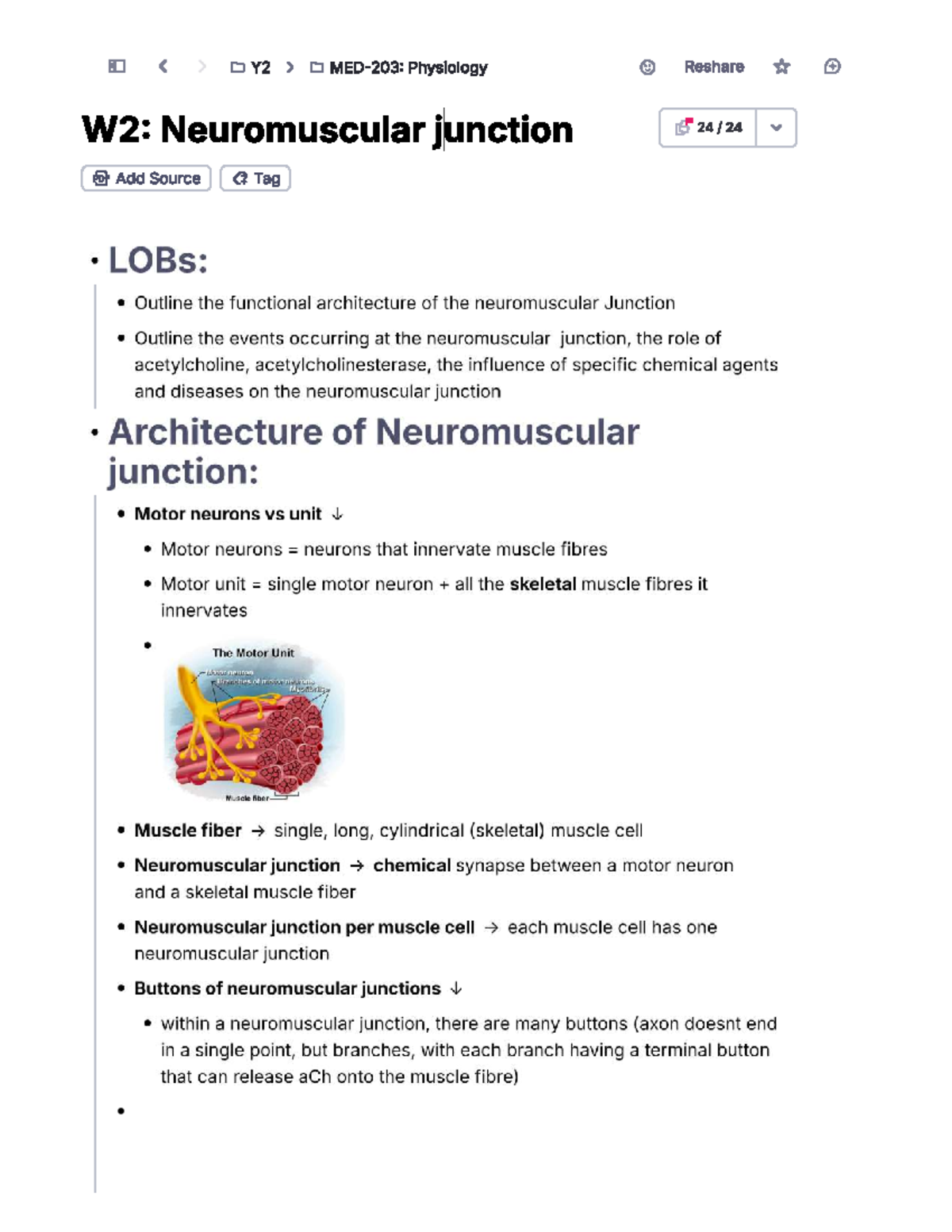 Y2 Physiology W2: Neuromuscular Junction Overview and Key Events - Studocu