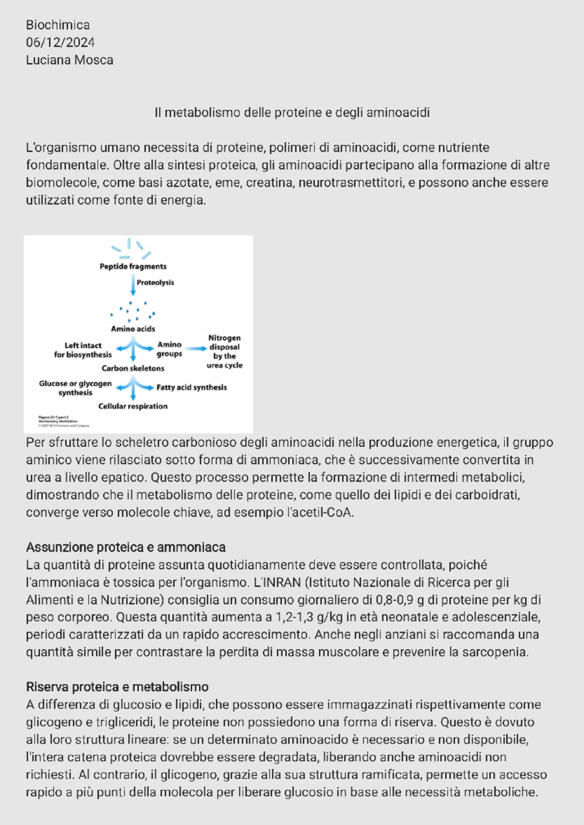 Biochimica SAPIENZA: Metabolismo delle Proteine e Aminoacidi - Studocu
