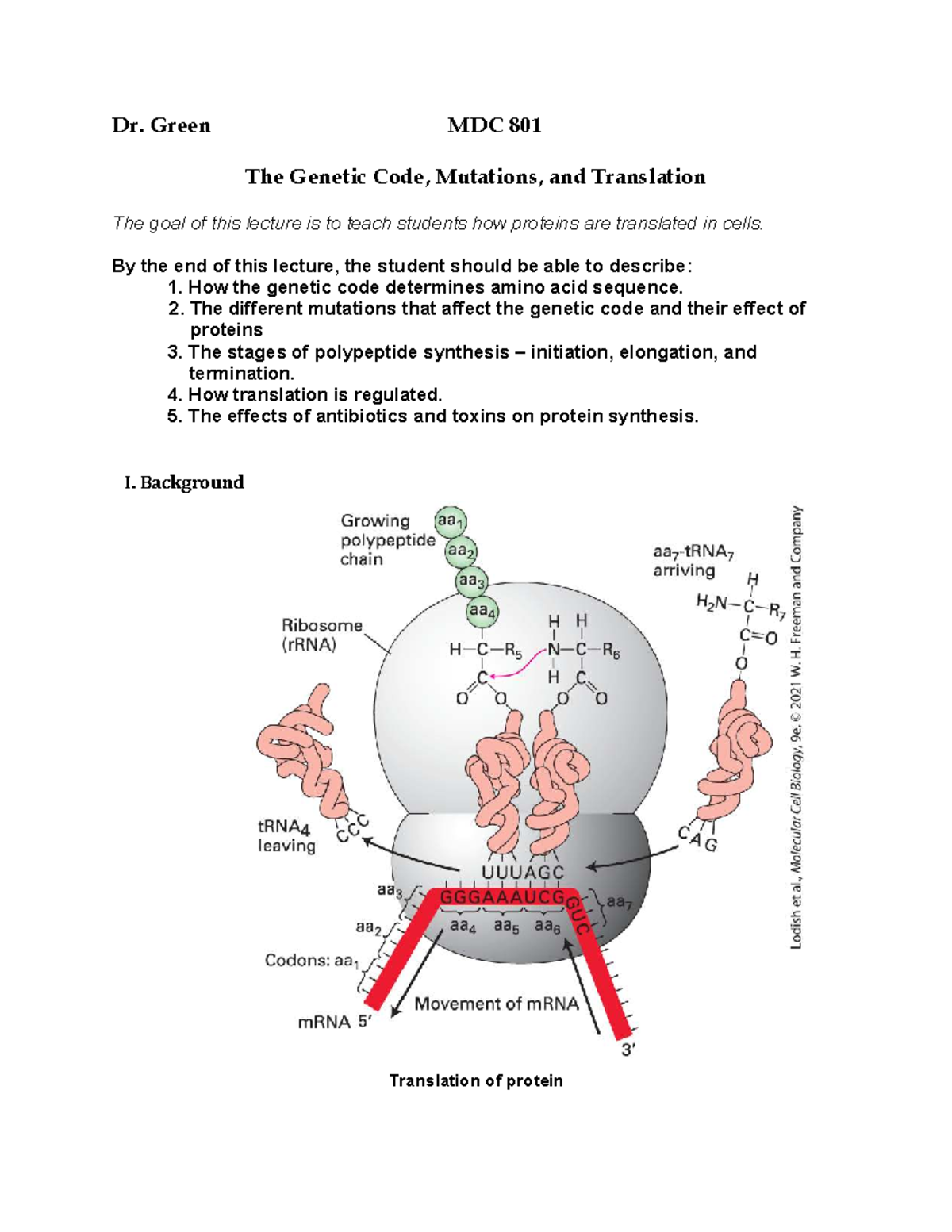 Genetic Code, Mutations, and Translation - BMS 600/FSC 624 Lecture ...