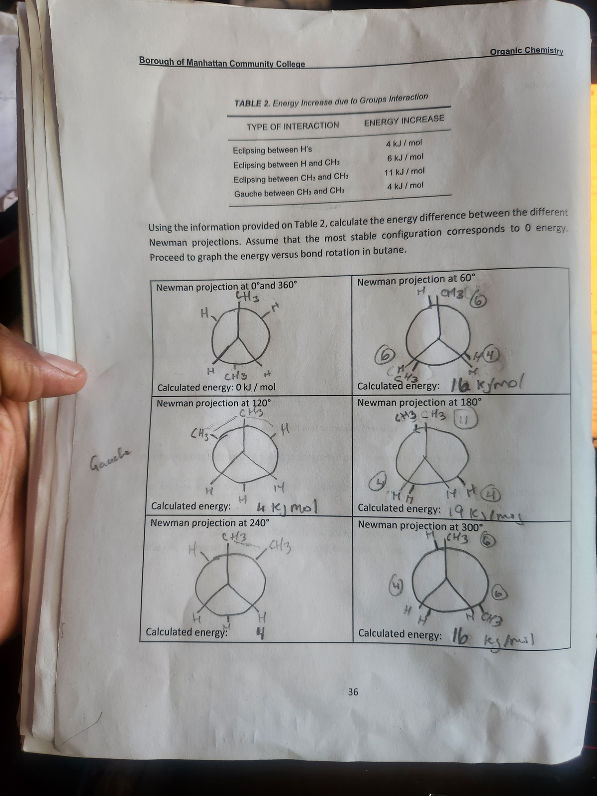 Organic Chemistry Lab: Energy Interactions & Newman Projections Analysis - Studocu