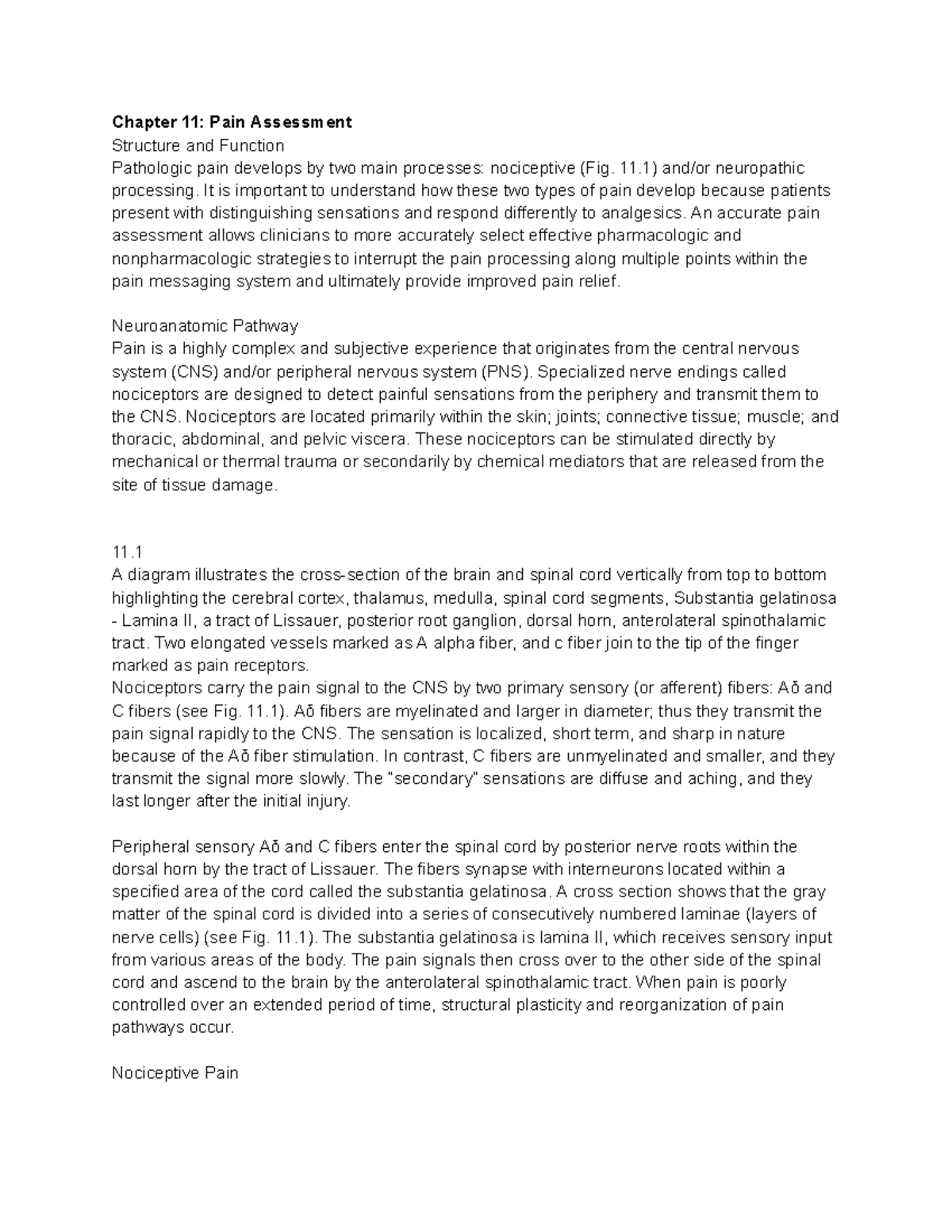 Chapter 11: Comprehensive Pain Assessment & Management Strategies - Studocu