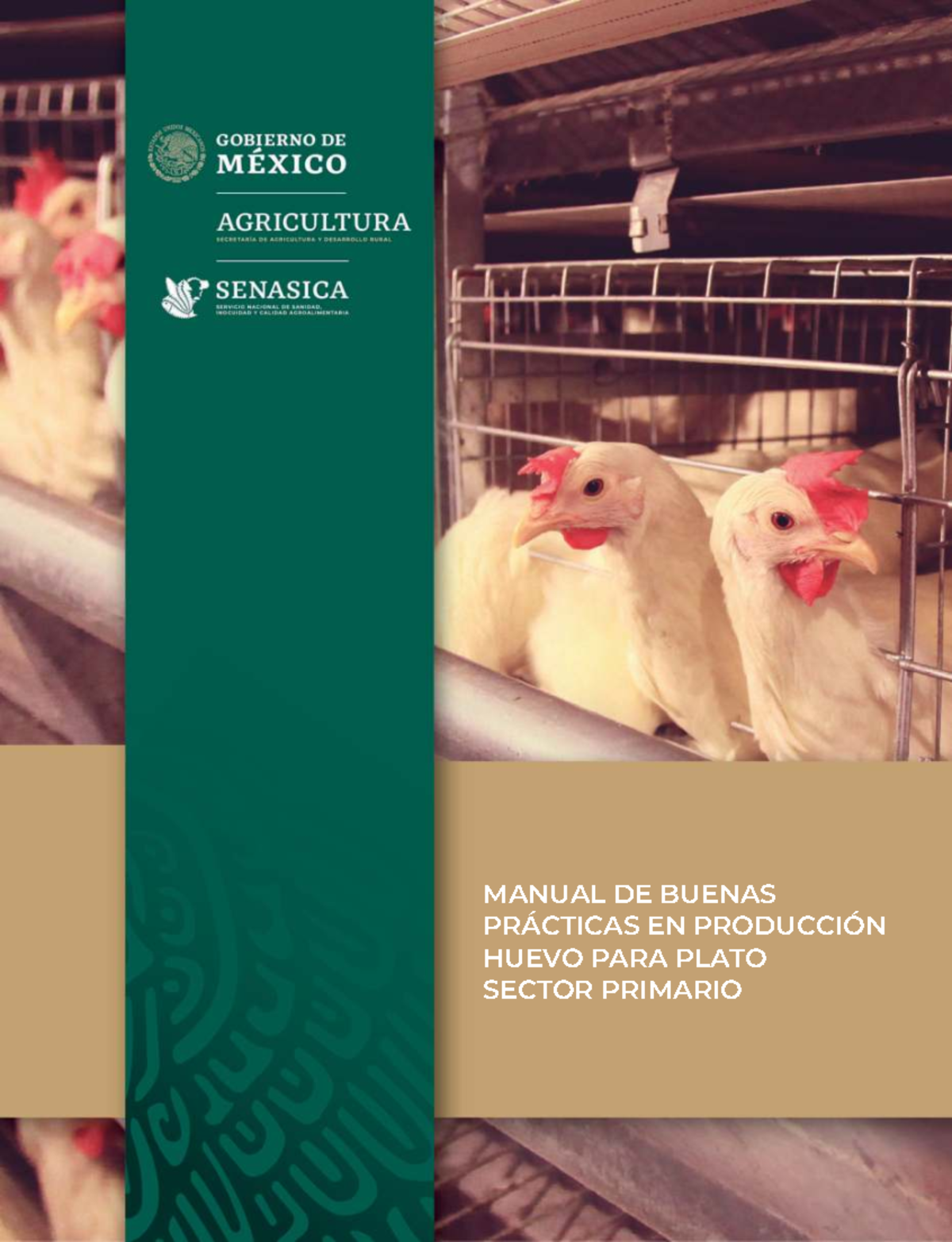 Manual de Buenas Prácticas Pecuarias en Producción de Huevo para Plato ...