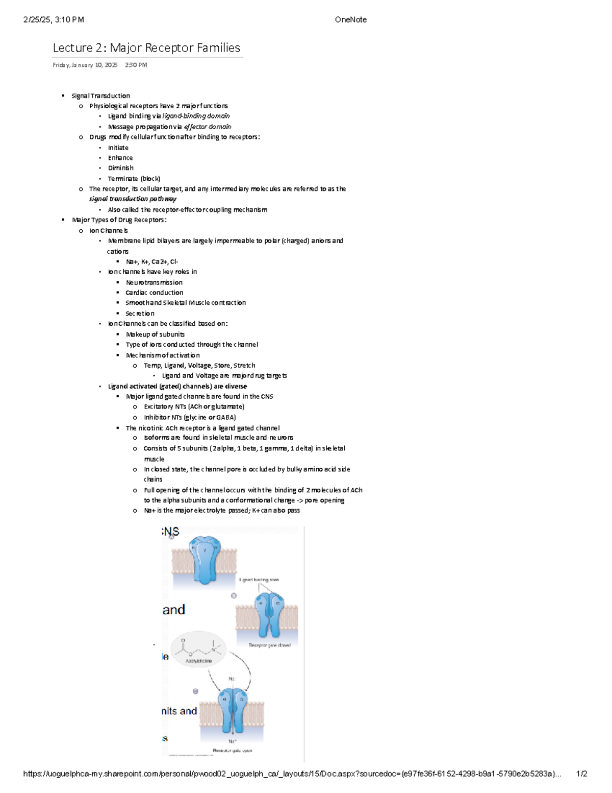 Lecture 2 Pharm - Lecture 2: Major Receptor Families Friday, January 10, 2025 2:30 PM • Signal ...